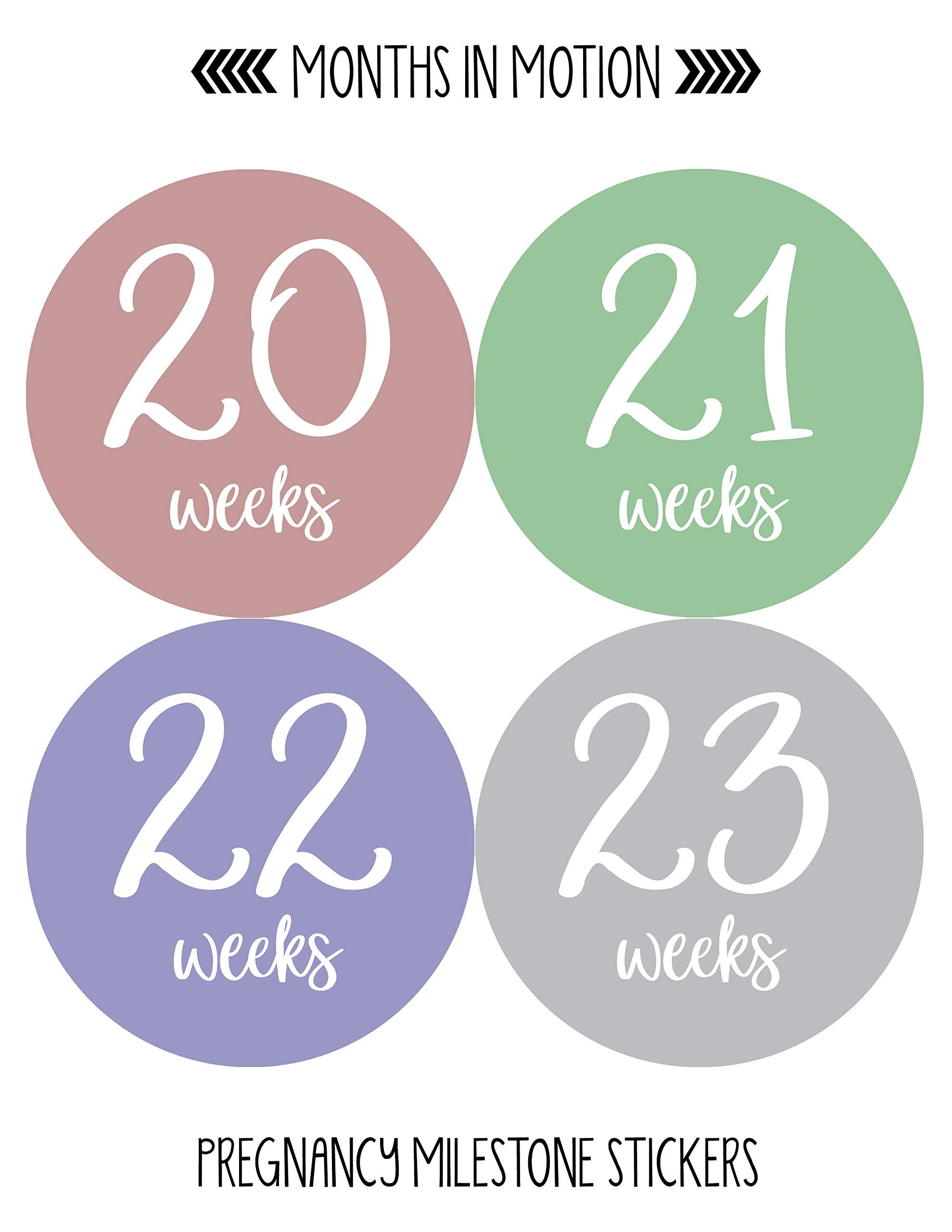 Months In Motion Pregnancy Weekly Belly Growth Stickers, 36 pcs - Purple Pink, Matte Finish, Cloth Surface, for Maternity Photo Sessions & Keepsakes