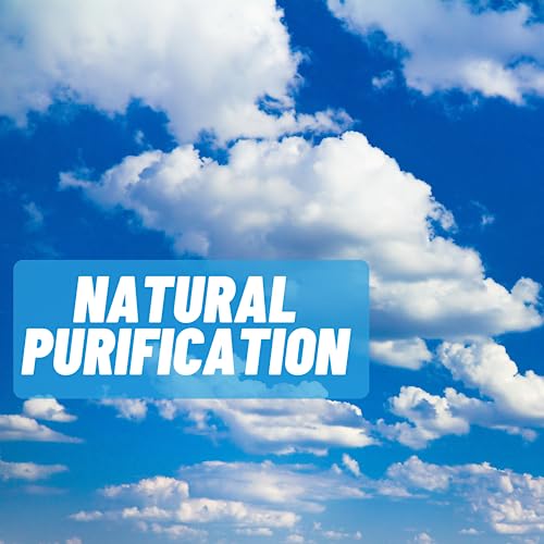 Calcium D-Glucarate 500mg- CDG for Liver Detox, Cleanse, Menopause, Estrogen Management | 60 Tablets Cal D Glucarate Supplements