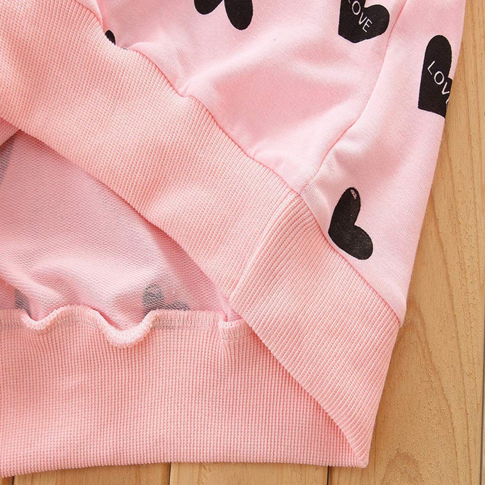 Little Girl Clothes Infant Outfits Set 2 Pieces Long Sleeved Tops and Pants (Pink, 2-3 T)