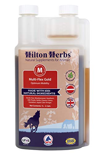 Hilton Herbs Multiflex Gold Liquid Joint & Muscle Supplement for Horses, 2.1pt Bottle