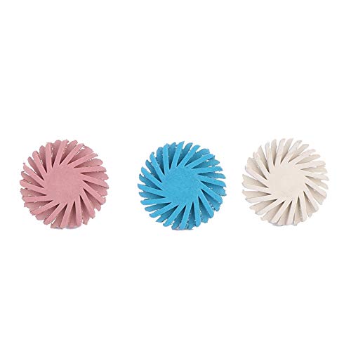 YWBL-WH 6 Pcs Mixed Dental Composite Resin Polishing Disc Kit Spiral Brush Burs with Plastic Storage Box