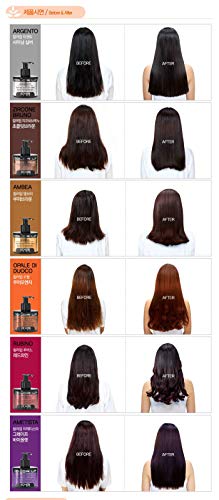 COLOR UP Hair Manicure Coating Treatment 8.45fl.oz/No Ammonia, No Oxident/Made in Italy (Chocolate Brown)