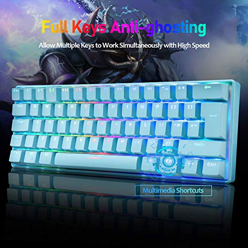60% Mechanical Gaming Keyboard Mini Portable with RGB Backlit Full Anti-Ghosting 61 Key Ergonomic Metal Plate Wired Type-C USB Waterproof for Typist Laptop PC Mac Gamer(Blue Keycap/Blue Switch)