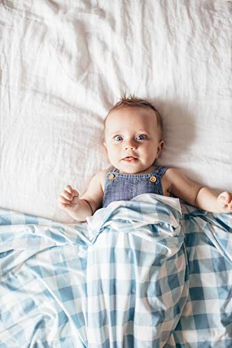 Copper Pearl Large Premium Knit Baby Swaddle Receiving Blanket Lincoln