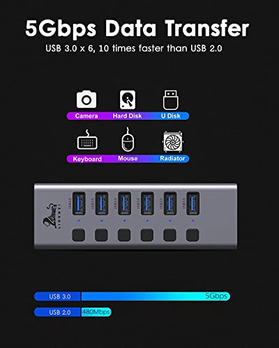 LIONWEI Universal 8-Port Powered USB 3.0/USB C Hub, Aluminum USB Splitter with 6 USB 3.0 Data Ports, SD/TF Card Readers, On/Off Power Switches, AC Adapter