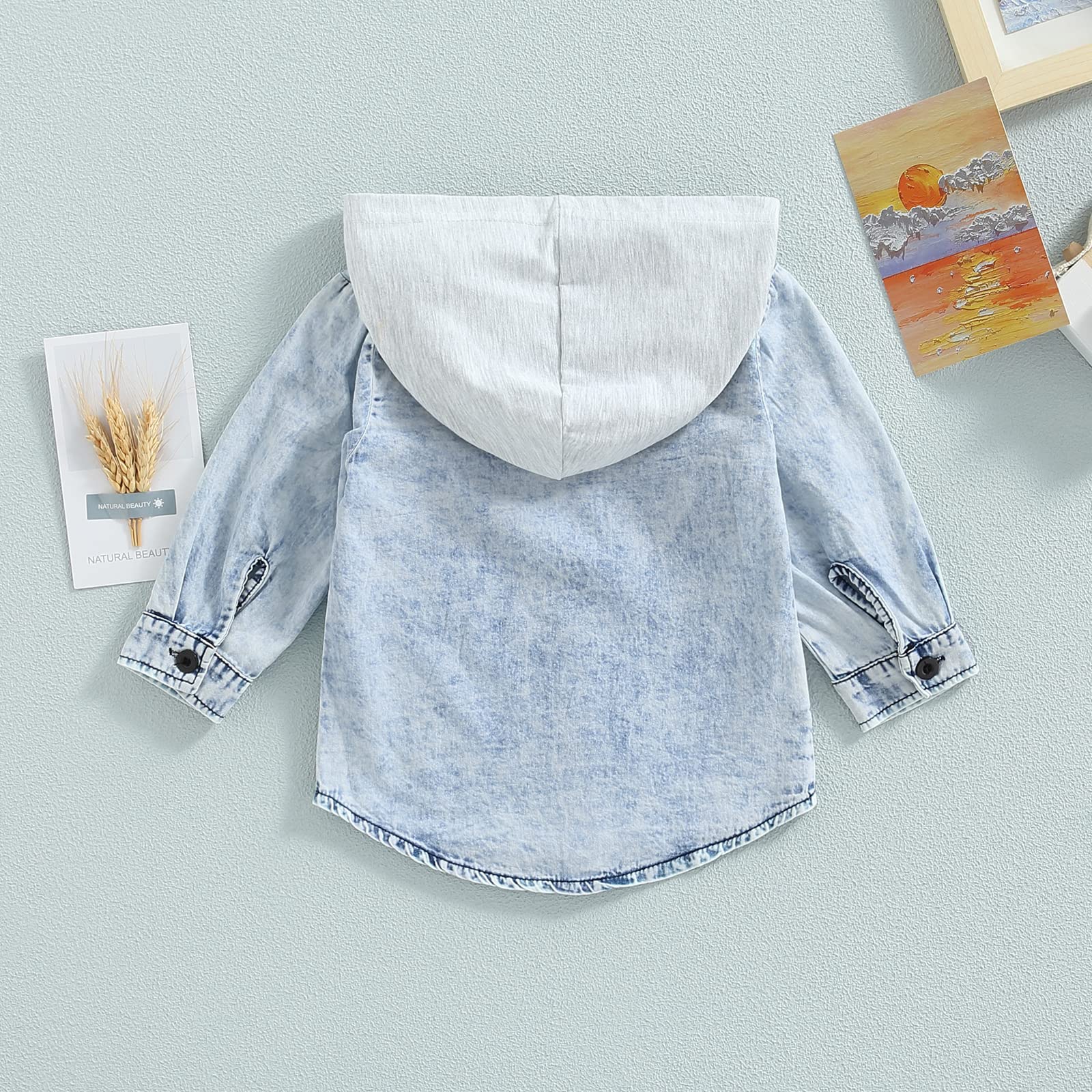 AEEMCEM Toddler Baby Boys Hooded Denim Jackets Long Sleeve Button Down Hoodie Jeans Jacket Coat Tops Fall Winter Clothes (Blue White, 2-3 Years)