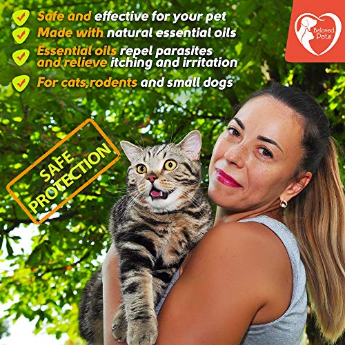 Flea and Tick Prevention for Dogs & Cats, Ferret - Natural Flea Treatment & Home Pest Control - Topical Flea & Mosquito Repellent for Puppy & Kitten - 3 Drops for Small and Extra Large Pet