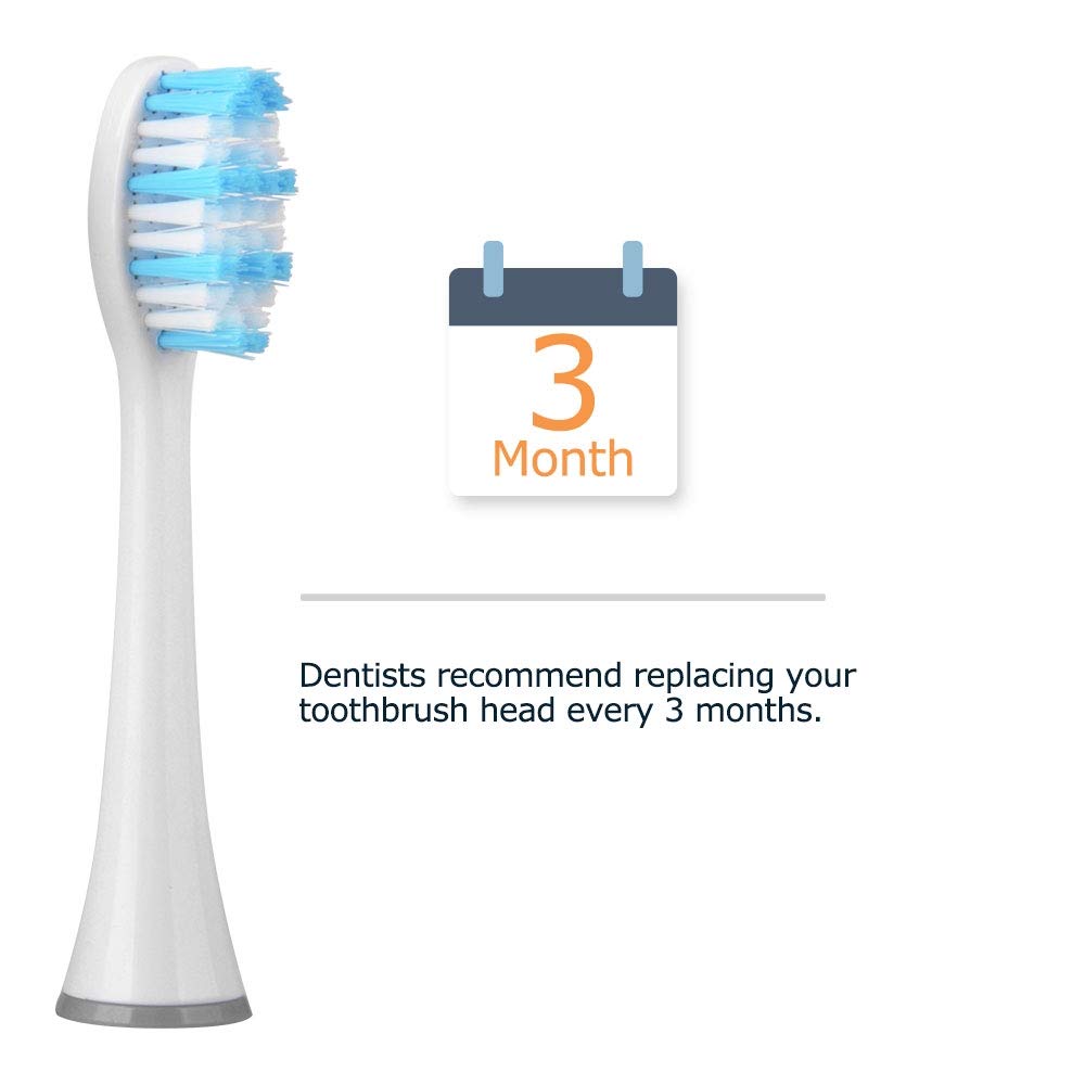 Dental Care Tools 4 D903 / D904 Replacement Brush Heads (Black) for Mornwel D01 (Color : White)