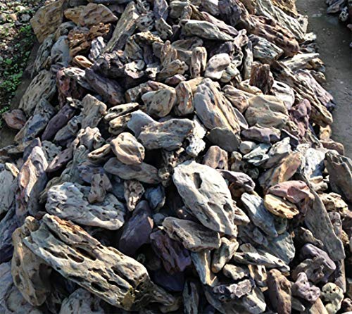 ZYYRT Natural Stone Aquarium Decoration 4.4 lb Dragon Stone Rock Mixed Sizes for Micro Landscape Fish Tank Decor