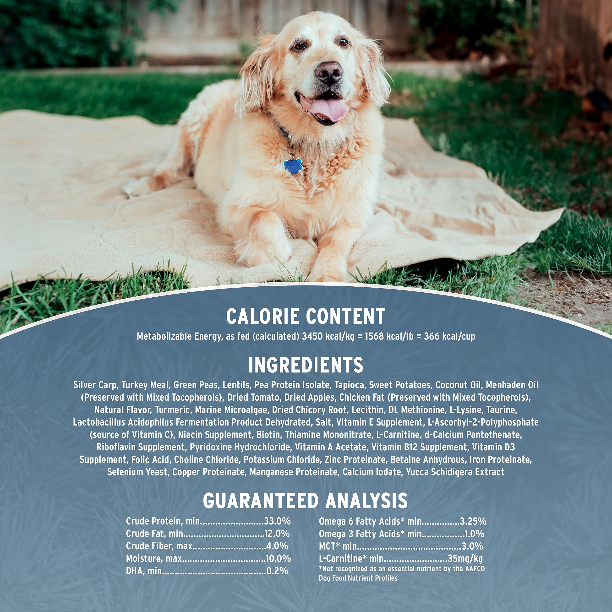 Annamaet Grain-Free Re-Juvenate Senior Formula Dry Dog Food, (Fresh Silver Carp & Turkey), 5-lb Bag, Brown