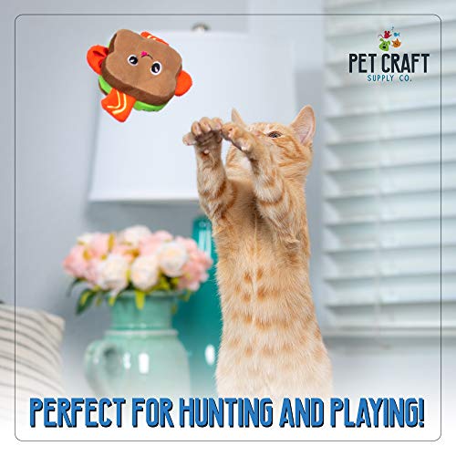 Pet Craft Supply Silly Snacks and Funny Food Crinkle Cuddling Catnip and Silvervine Interactive Cat Toys - Great for Indoor Cats and Kittens, All Breed Sizes
