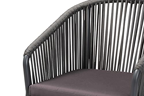 Baxton Studio Marcus Modern and Contemporary Grey Finished Rope and Metal Outdoor Dining Chair