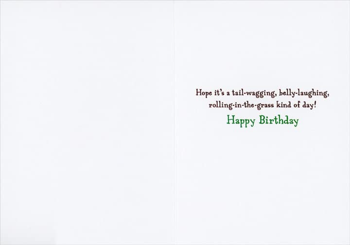 Avanti Press Happy Dogs Laying In Grass Funny / Humorous Birthday Card