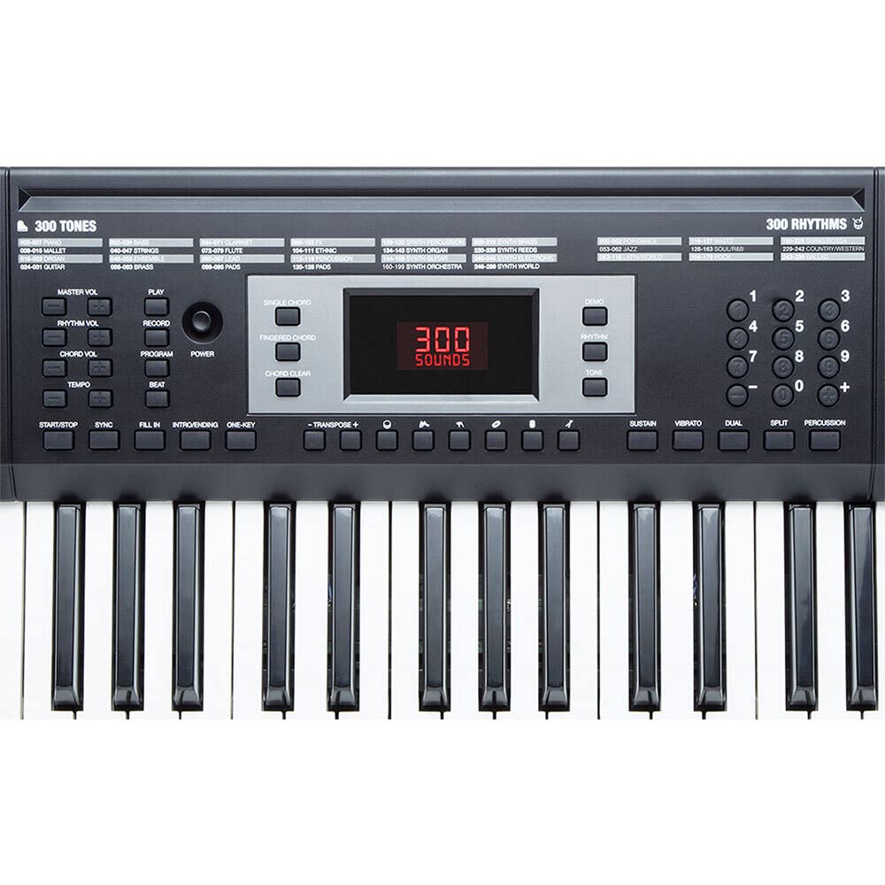 Alesis Melody 61 Beginner Bundle | 61-Key Portable Keyboard with Stand, Bench, Headphones, and Microphone