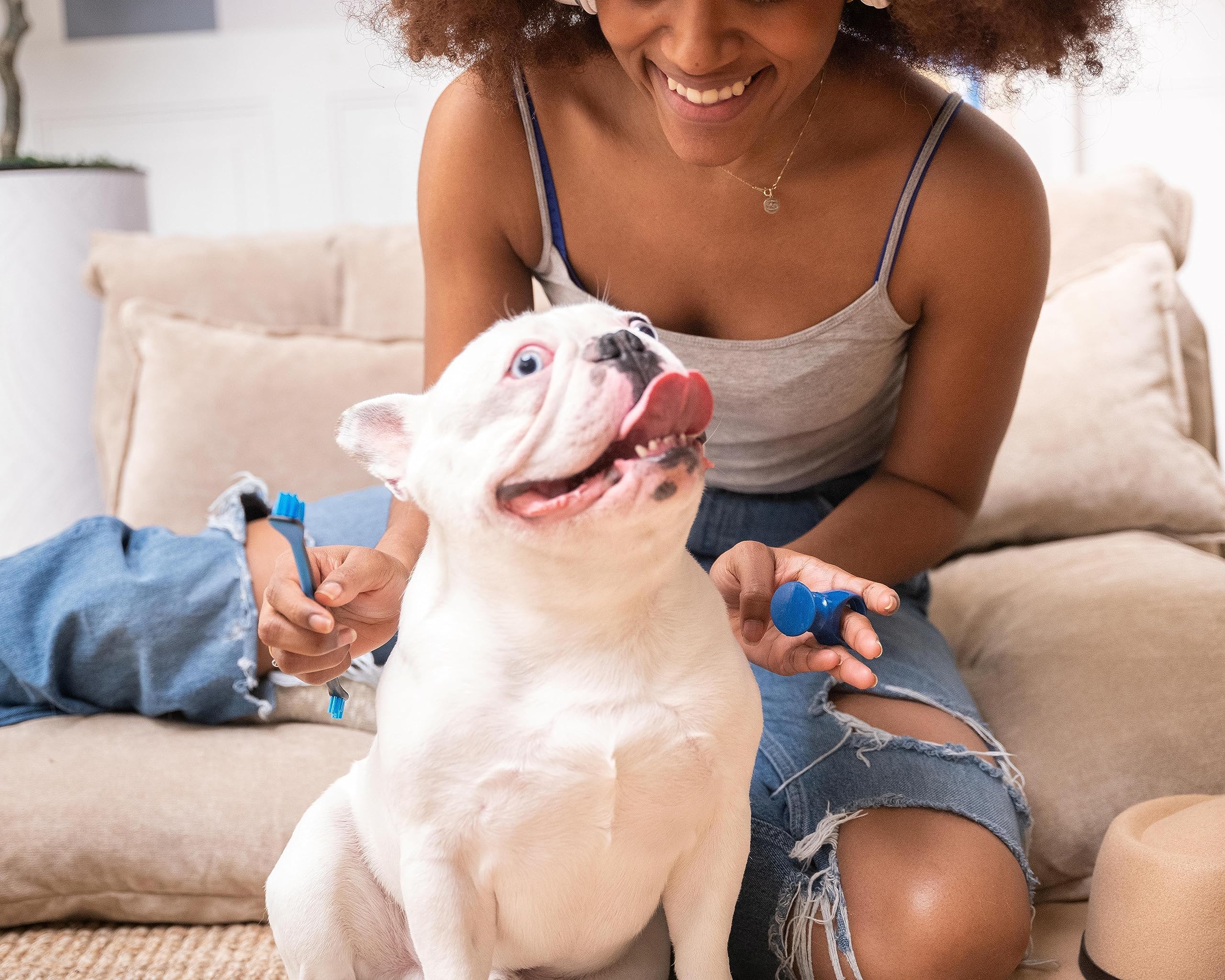 Paw Ready Pet Toothbrushing Assistant for Dogs and Cats Allows You to Brush Your pet’s Teeth Without Constantly Worrying About Getting Bitten Medium Size for Pets Between 15-85 lbs. (7-38.5 Kg)