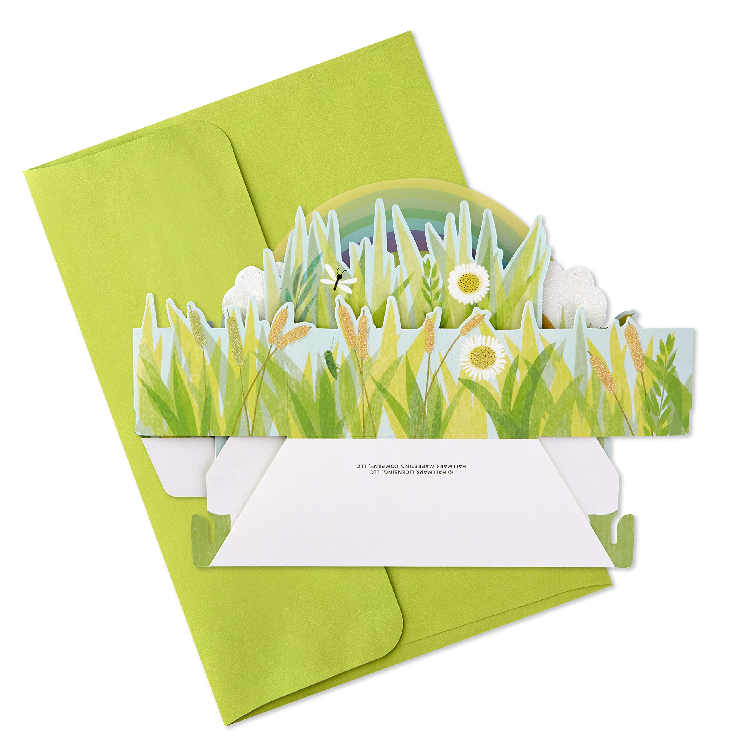 Hallmark Paper Wonder Thinking of You, Get Well Pop Up Card (Rainbow)
