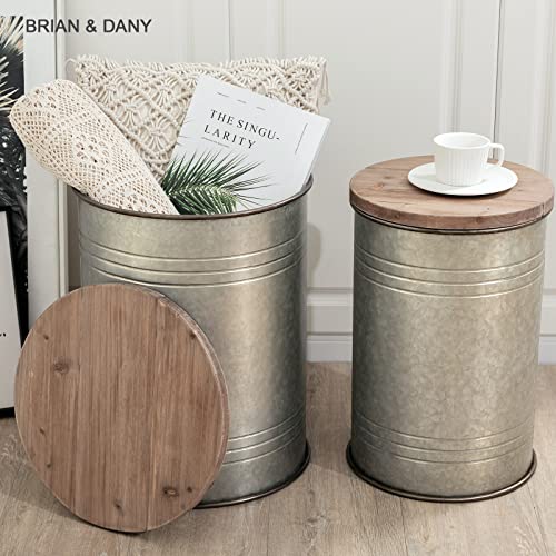 BRIAN & DANY 2 Pack Farmhouse Accent Side Table, Rustic Storage Ottoman Seat Stool with Round Wood Lid, Galvanized Metal Storage Bin for Living Room Furniture, Distressed Grey