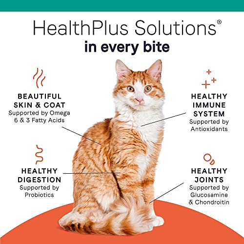 Canidae Pure Limited Ingredient Premium Dry Cat Food, Real Salmon Recipe, 10 lbs, Grain Free