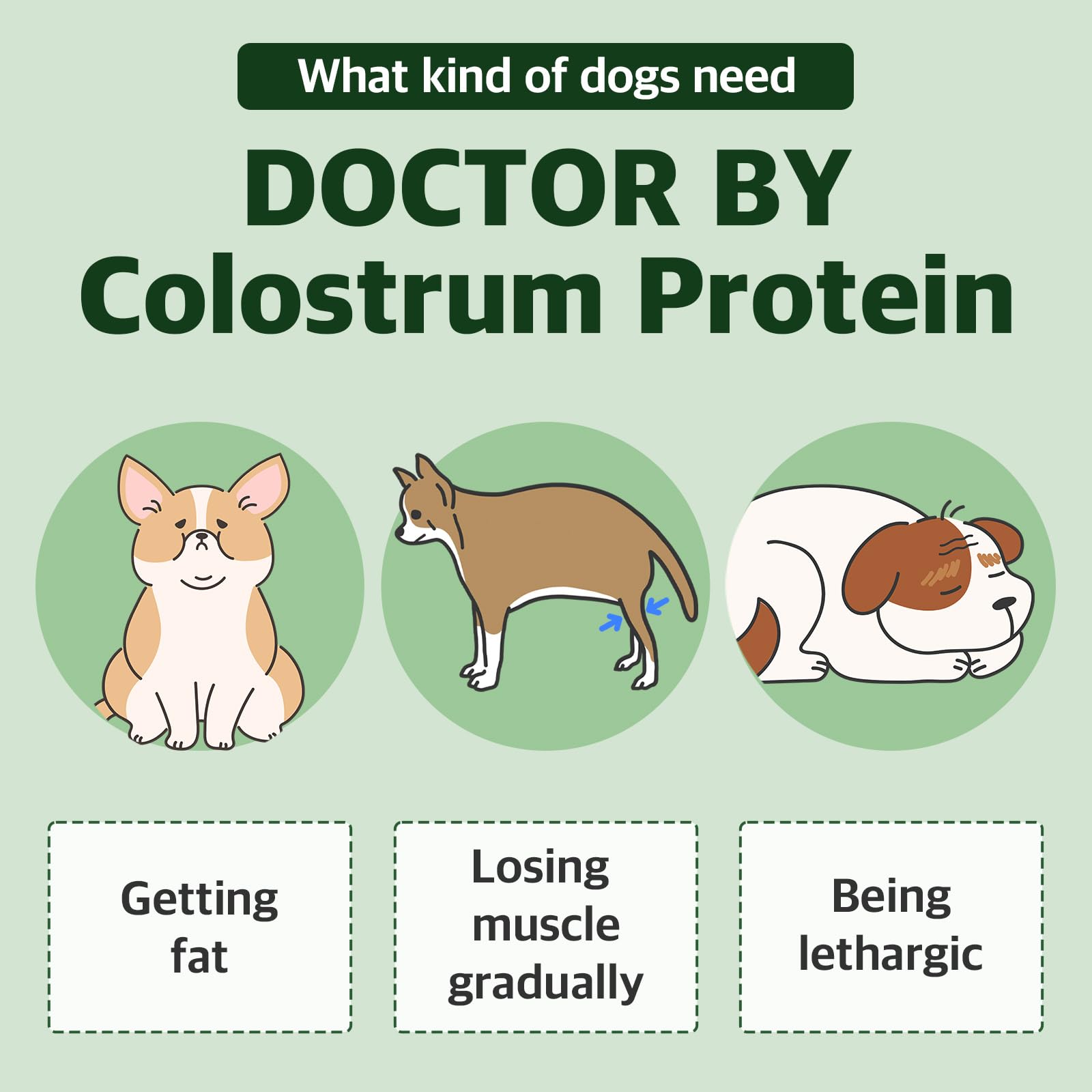 Doctor By Colostrum Protein for Dogs and Puppy β Weight Gain Supplement for Dog - Muscular Strength and Immune System Support with Colostrum, Whey Protein Isolate, Goat Milk β 30 Tubes