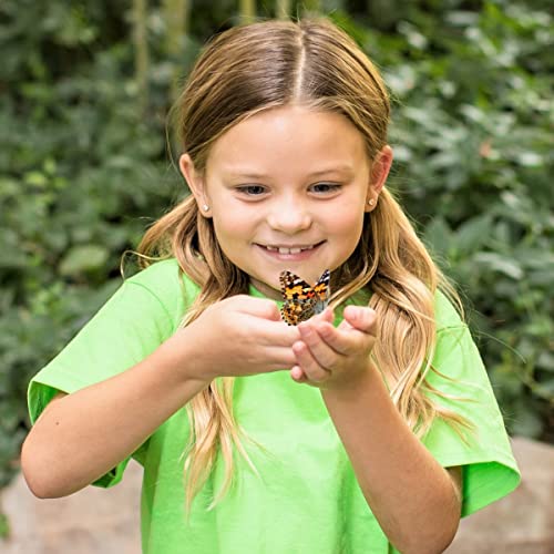 Butterfly Garden: Original Habitat and Live Cup of Caterpillars with STEM Butterfly Journal β Life Science & STEM Education β Butterfly Science Kit