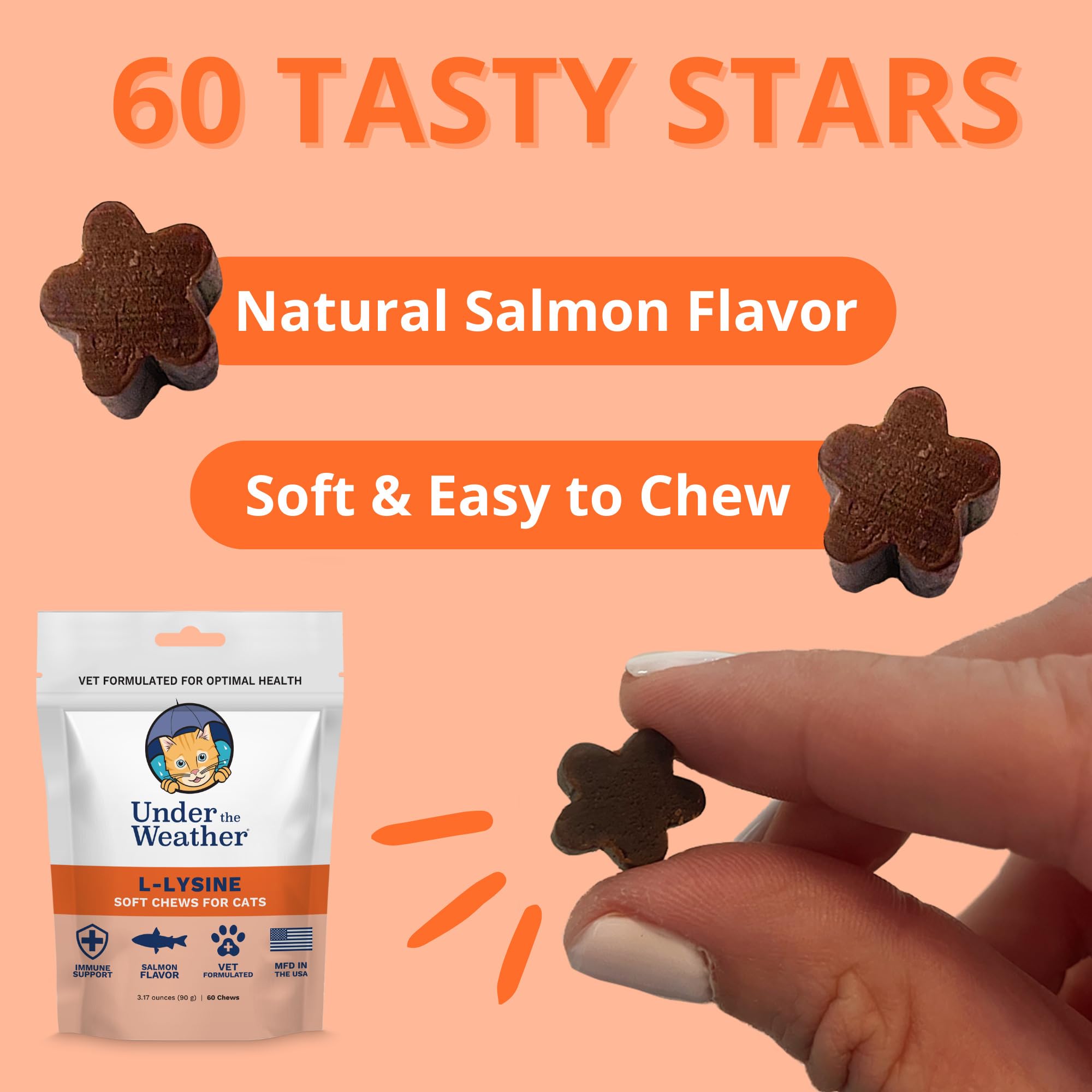 Under the Weather Pet Daily Cat L-Lysine | Boost Immune System Reduce Respiratory Symptoms | Maintain Normal Immune System Response | 60 Star Shaped Soft Chews
