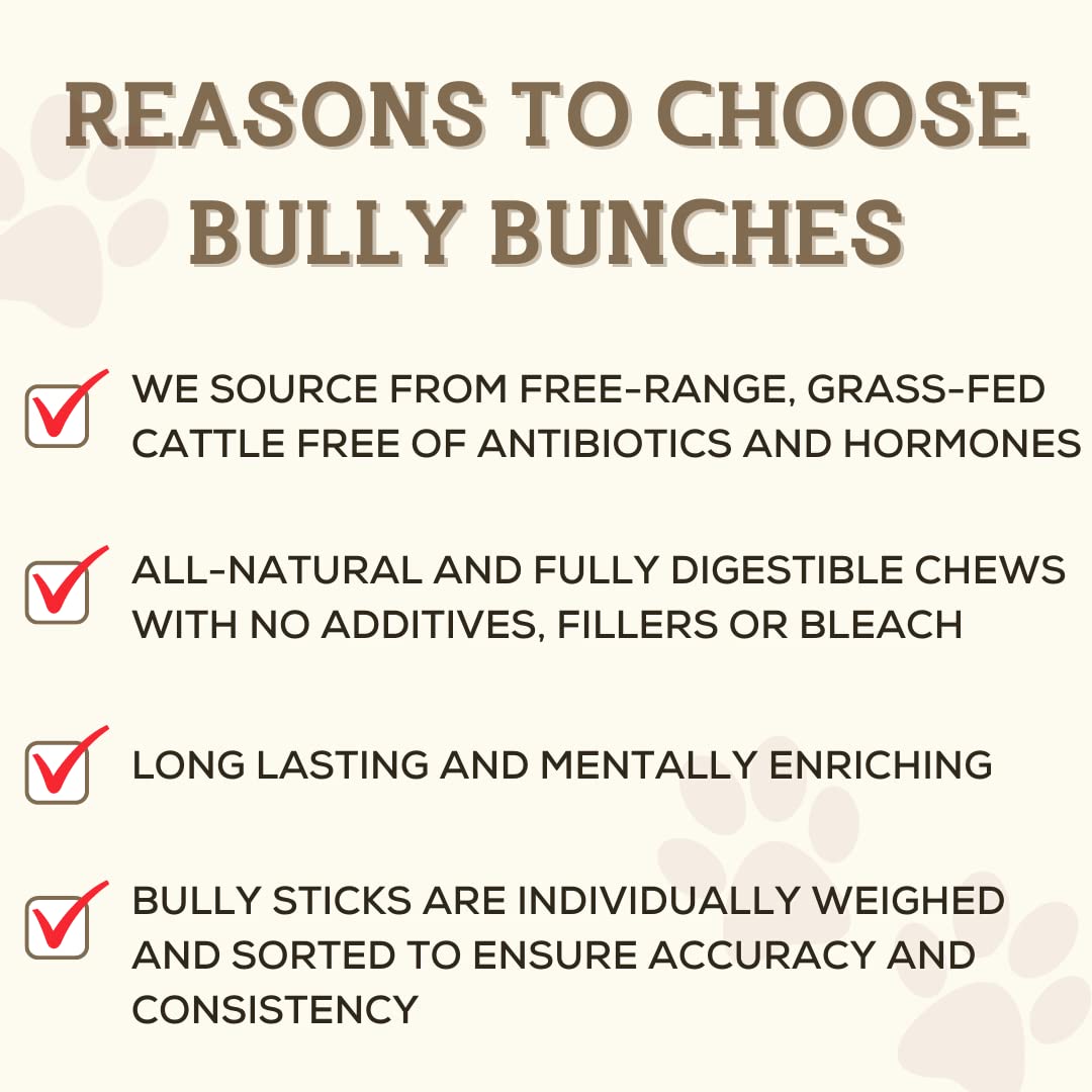 Bully Bunches Premium 12 Inch Thick Odor-Free Bully Sticks for Medium & Large Dogs - Long Lasting Chews for Oral Care - All Natural & Single Ingredient, 100% Beef Dog Treat, Rawhide Free (10 Pk)
