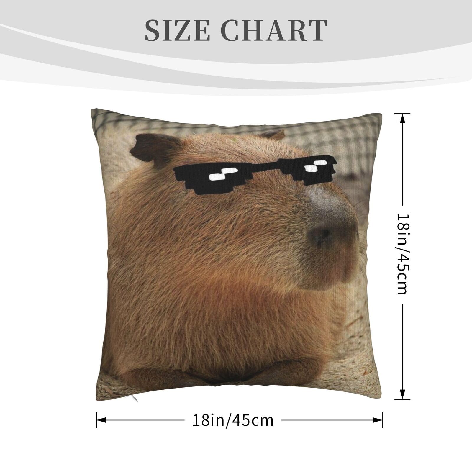 Funny Capybara Funny Meme Animal Throw Pillow Covers Novelty Square Pillow case Home Decorative Bedroom Couch Sofa Cushion case 18x18 in