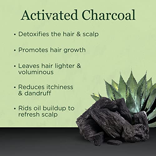 Saragan Activated Charcoal Shampoo - Natural Clarifying Shampoo w/Keratin, Argan & Jojoba Oils - Sulfate & Paraben Free Shampoo for Women and Men - Charcoal Detox Shampoo (16 oz) All hair types