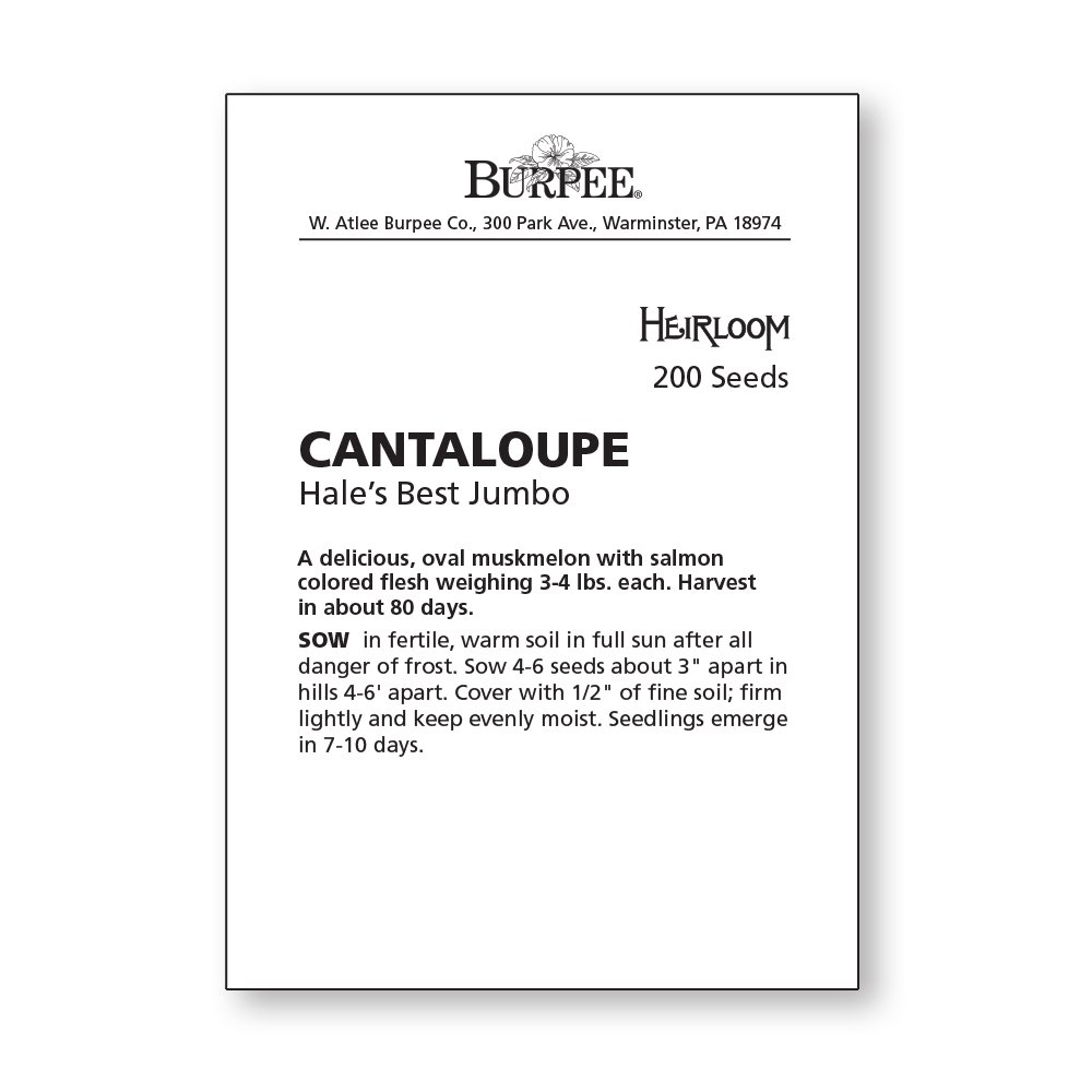 Burpee Hale's Best Jumbo Cantaloupe Melon Seeds 200 seeds