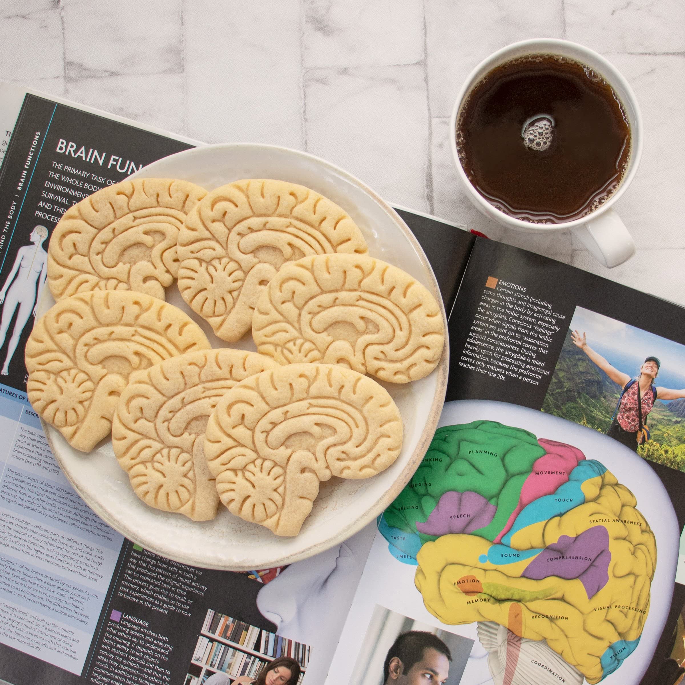 Anatomical Brain cookie cutter, 1 piece - Bakerlogy