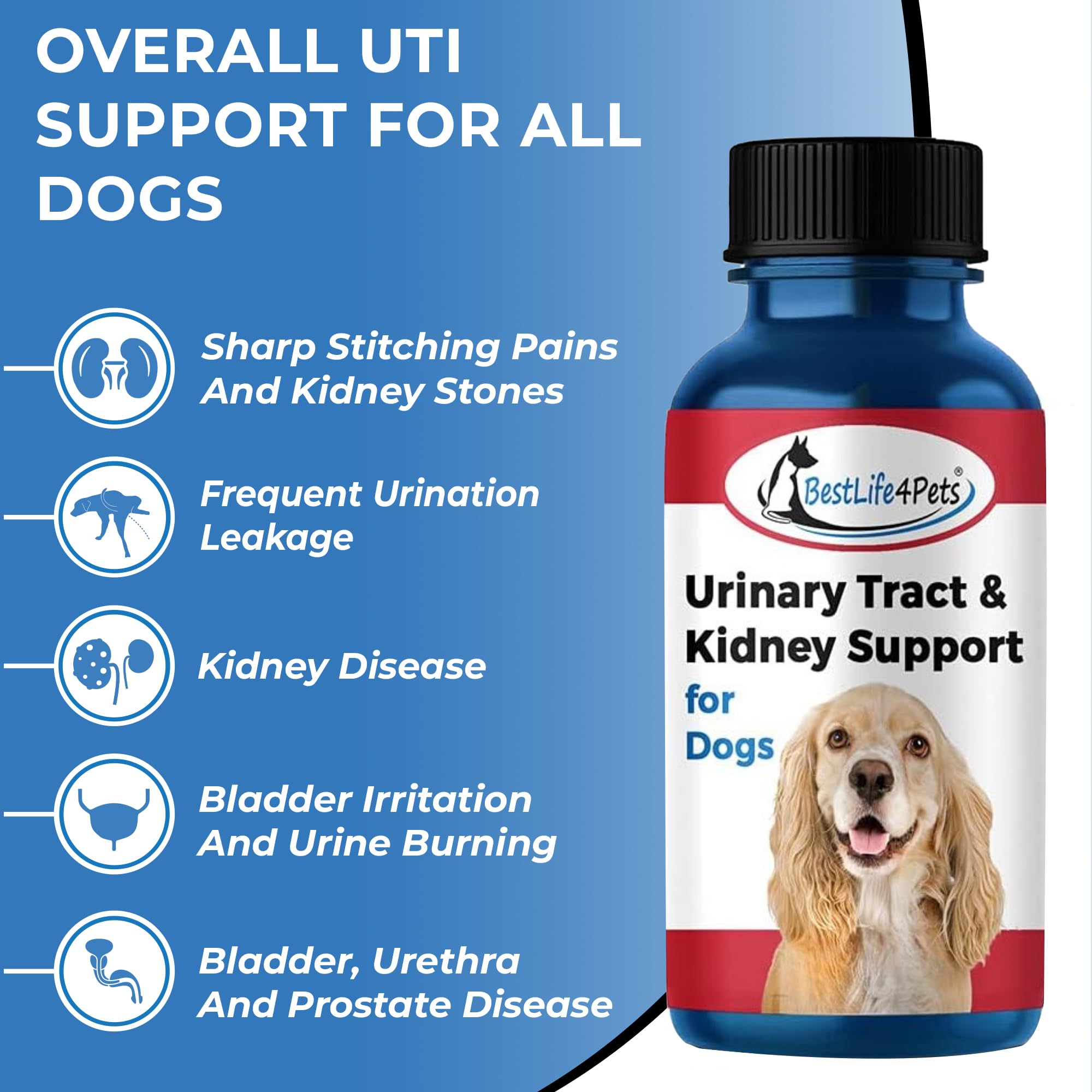 BestLife4Pets Dog UTI Kidney Support - Natural Urinary Tract Infection Treatment β Renal and Bladder Control Supplement β Easy to Use Pills (2 Pack)