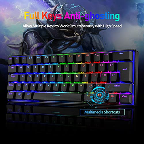 60% Mechanical Gaming Keyboard Mini Portable with RGB Backlit Full Anti-Ghosting 61 Key Ergonomic Metal Plate Wired Type-C USB Waterproof for Typist Laptop PC Mac Gamer(Black Keycap/Blue Switch)