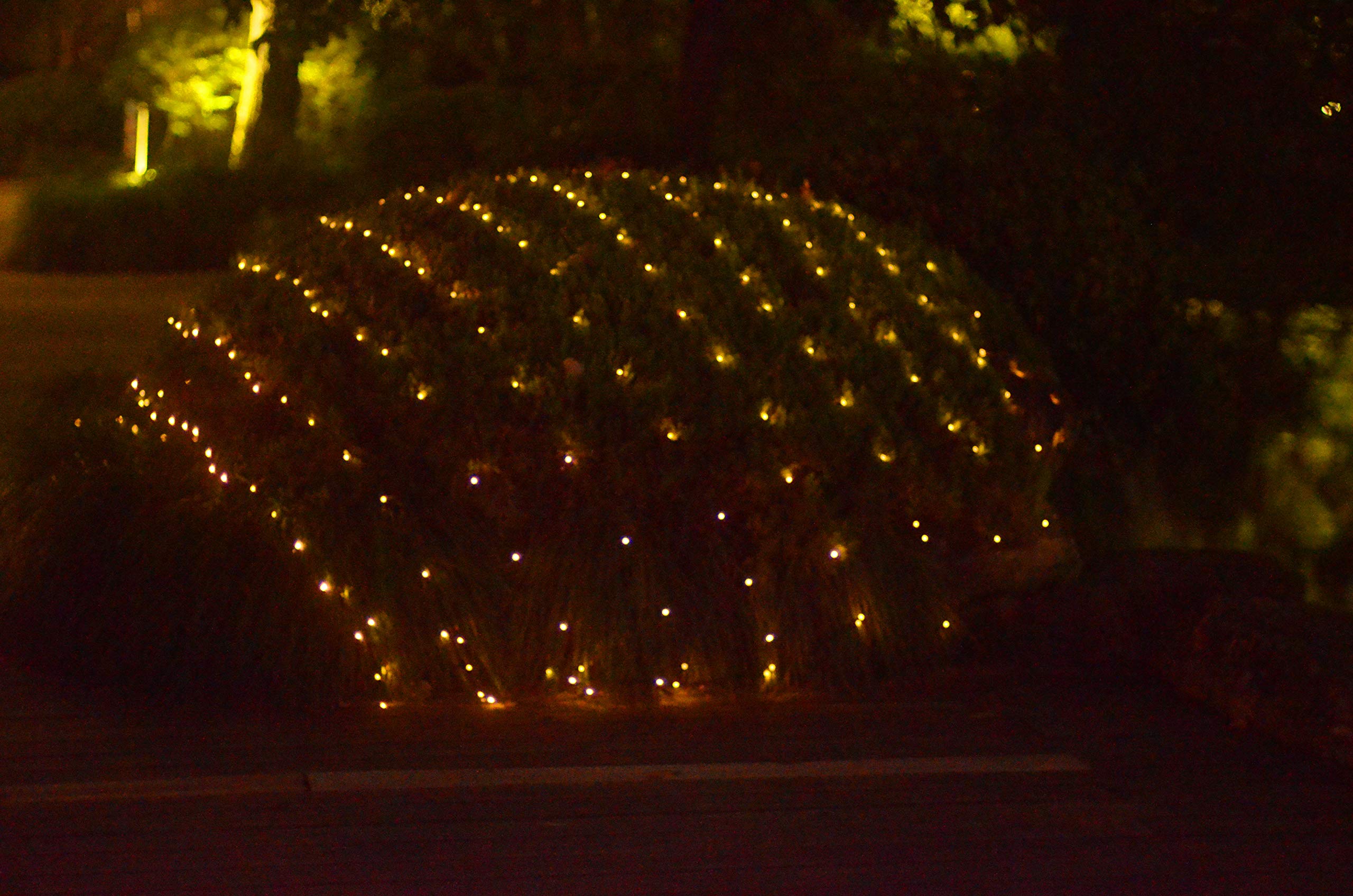 9.8Ft x 6.0 Ft 320LED Connectable Mesh Net Fairy Garden Light Twinkle Waterproof Light String with 8 Modes Green Cable for Festoon Party/Garden/Christmas/Patio/Wedding (Warm White)