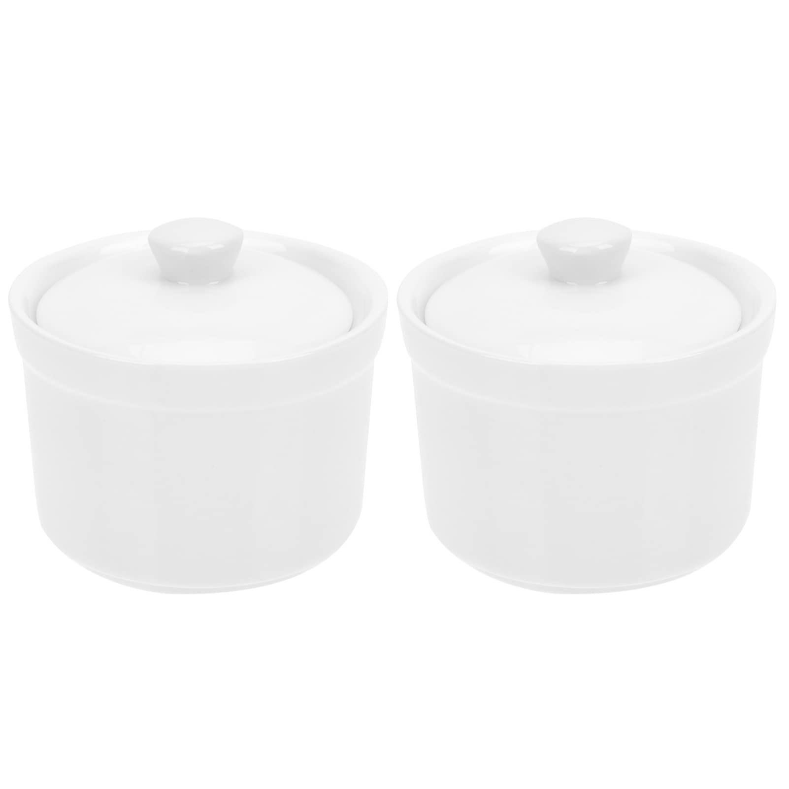 Angoily 2pcs Ceramic Stew Pot with Lid Small Steam Soup Bowl Steaming Cup Stockpot Cookware for Egg Custard Medicinal Birds