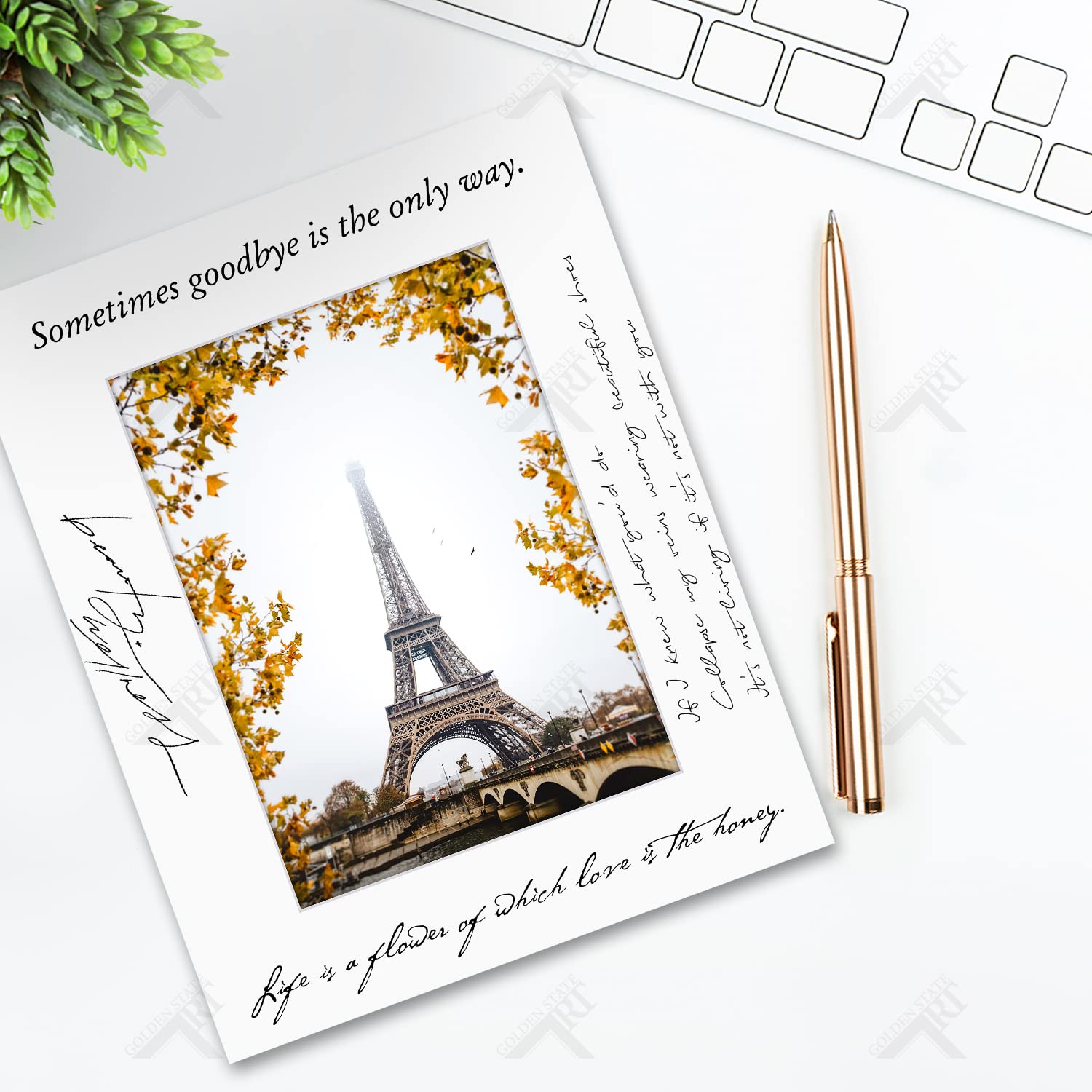 Golden State Art, 8x10 White Picture Mats with White Core Bevel Cut for 5x7 Pictures (Pack of 10 Mats)