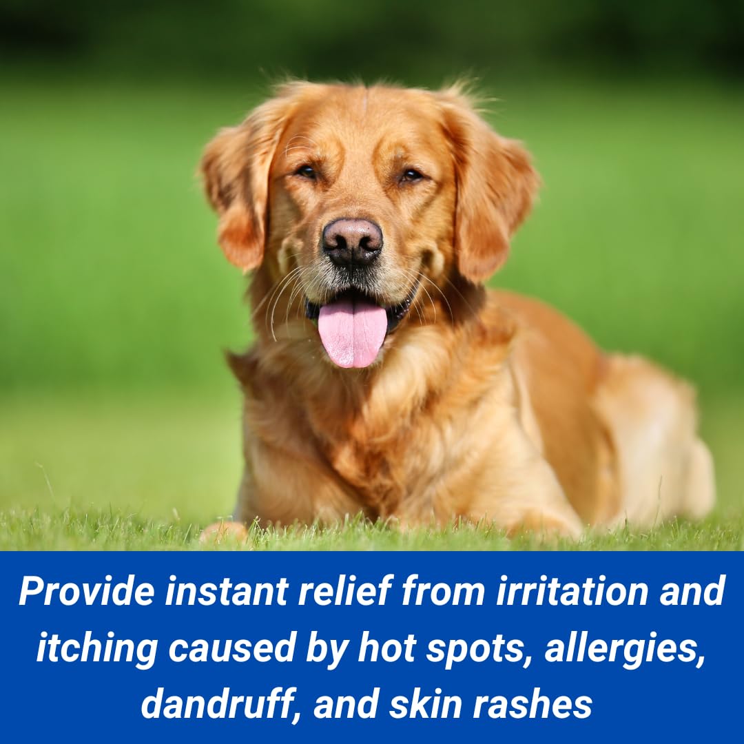 PetAseptic Skin Relief Spray for Dogs | Relieves Dry Itchy Skin, Hot Spots, Dandruff, Allergy Dermatitis, & Skin Rashes | Clear, Stainless, & Greaseless | Provides Fast, Temporary Relief | 4oz Spray