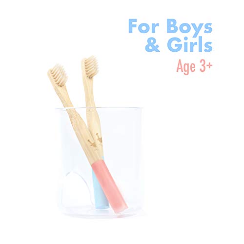 Native Birds Kids Bamboo Toothbrush with Soft Bristles, Set of 4 Eco Friendly Toothbrushes, BPA Free, Designed in Ukraine