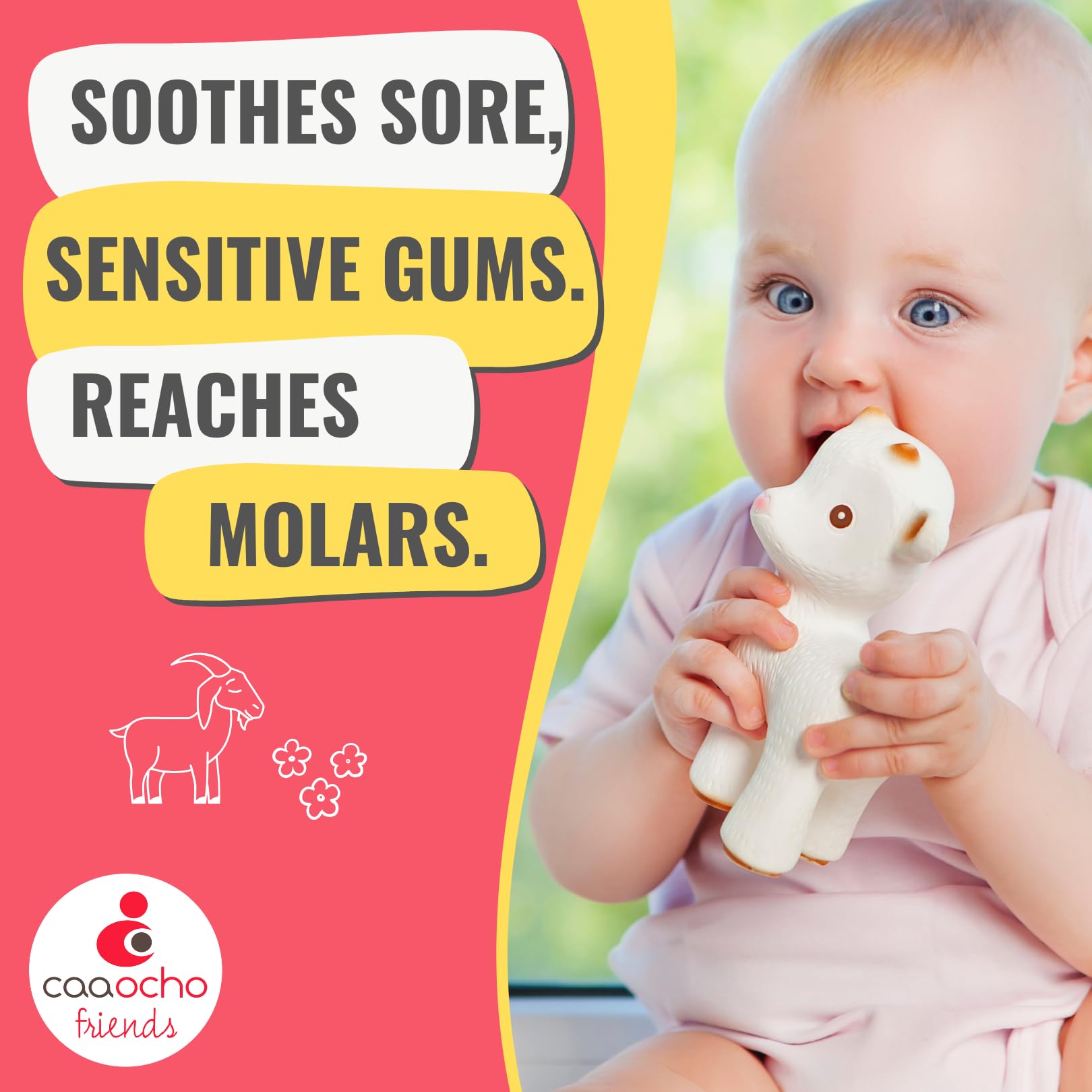 CaaOcho Pure Natural Rubber Teething Baby Toy - Sola The Goat Teether for Babies, BPA Free Baby Toy, All Natural Teething Toys for Babies 0-6, Safe and Fun Molar Teether Toy