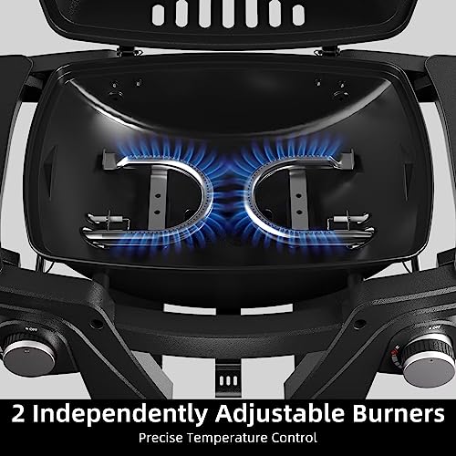 Barpecyou Portable Gas Grill, 2-Burner Small BBQ Propane Grills Tabletop Gas Grill Outdoor Camping Grill 24000 BTU, Detachable Side Tables,Built in Thermometer, Black