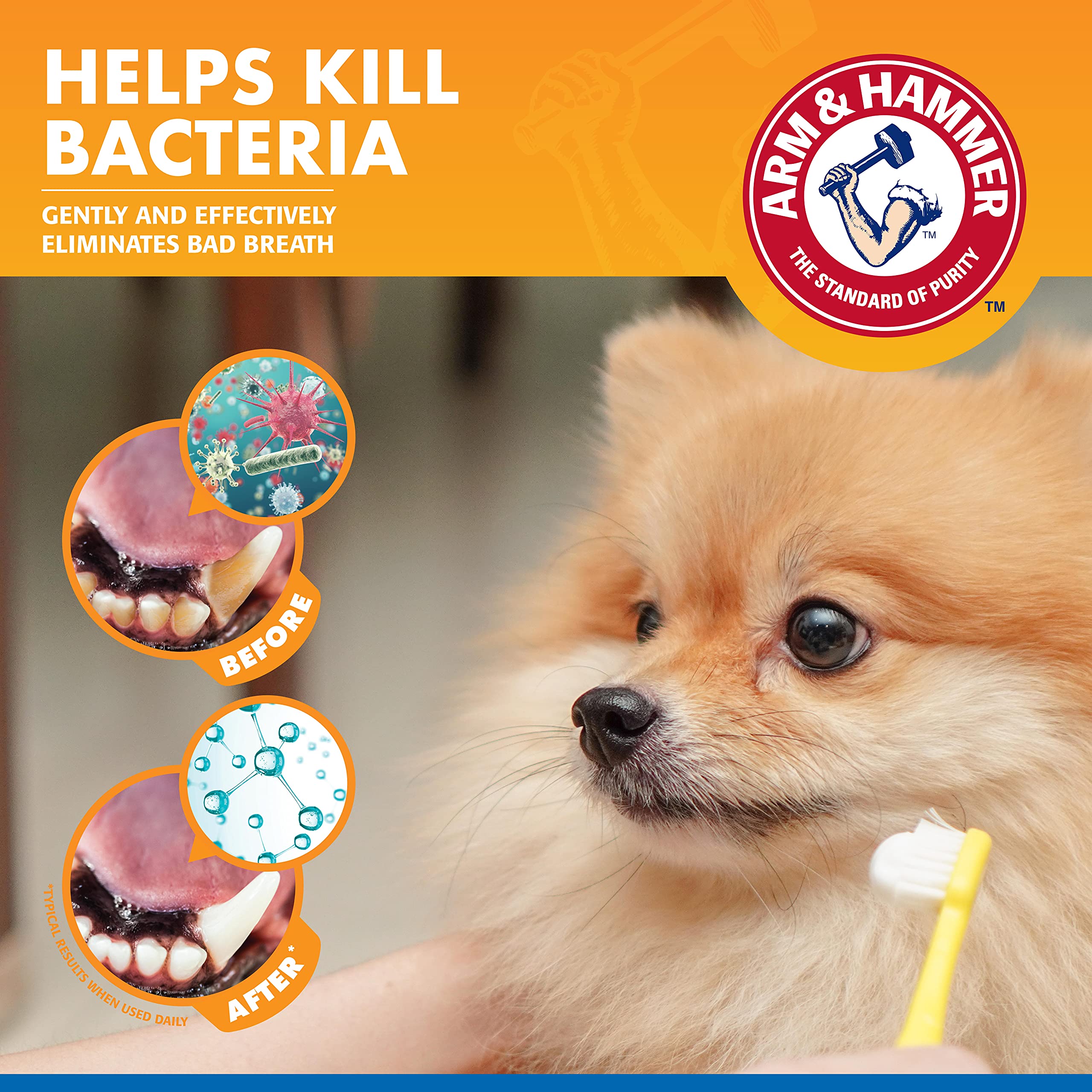 Arm & Hammer for Pets Combo Pack Dog Dental Tartar Control Water Additive and Fresh Breath Vanilla Ginger Enzymatic Toothpaste | Includes 16 Oz Dog Water Additive and 2.5 oz Dog Toothpaste