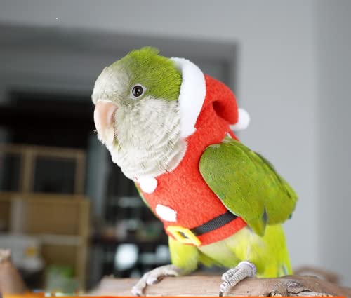 Bird Clothes Birds Flight Suit, Christmas Hoodie for Parrots Cockatiel Sun Conure Christmas Party Cosplay Photo Prop Bird Shirt Small Animals Apparel (Without Diaper,Green Quaker)