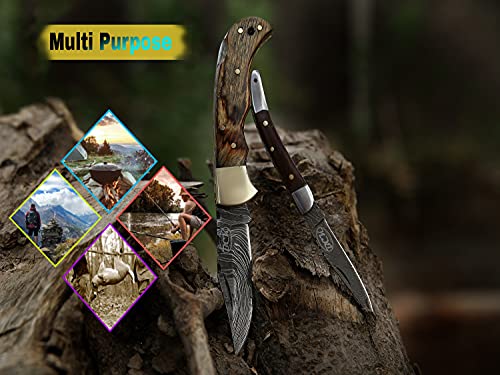 BCK Pocket Knife 4 Pcs Set 6.5" Handmade Damascus Folding Knife Back lock knife Damascus Hunting Knife with Sheath Damascus Pocket Knife for men 100% Prime Quality camping Knife (Brown Wood)