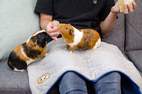 GuineaDad Liner | Guinea Pig Fleece Cage Liners | Guinea Pig Bedding | Extra Absorbent Bamboo | Waterproof Bottom (C&C 2x1, Grey)