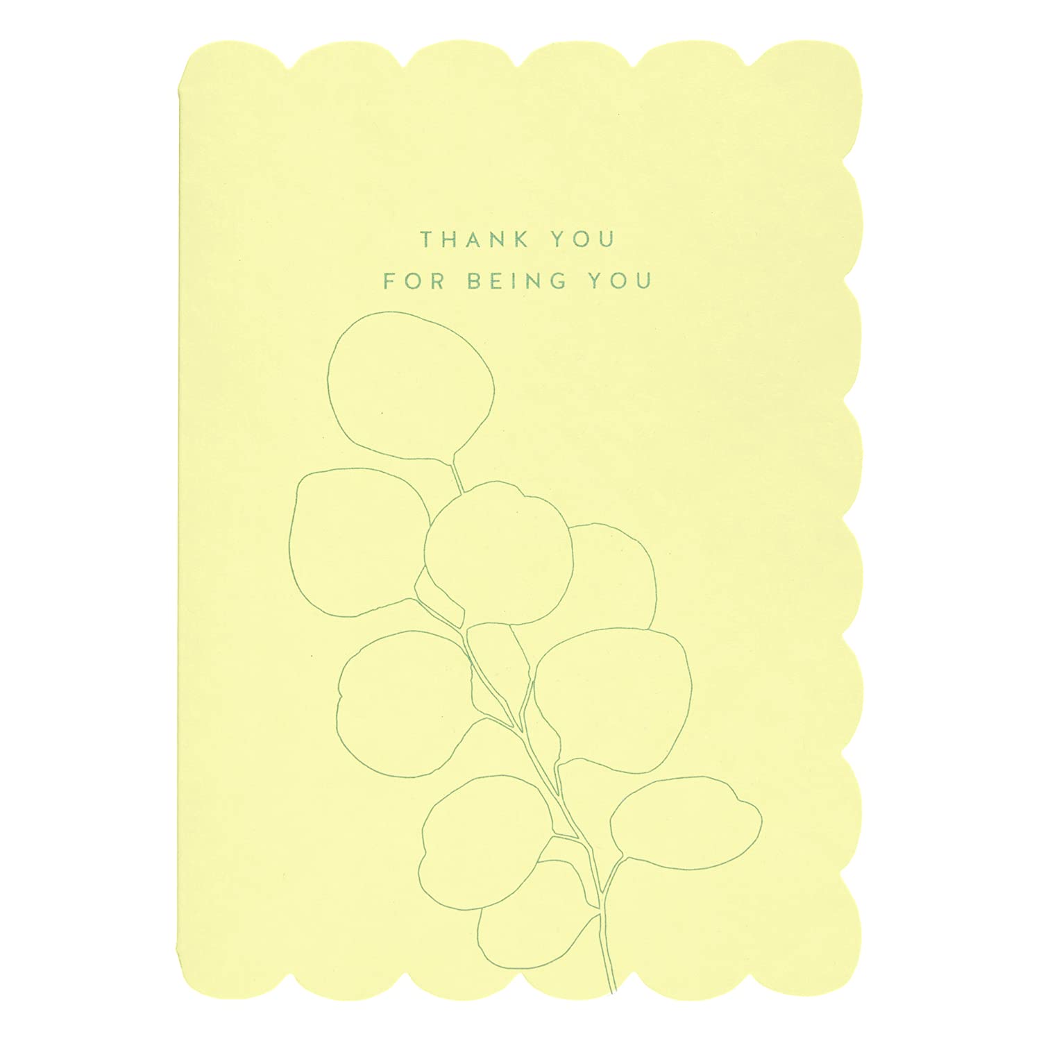 5 Pack of A6 Greeting Cards - Assorted Multi: Kindness. Five Uniquely Designed Blank Cards with Matching Envelopes. Beautiful Leaf Prints and Gold Foil Detailing by kikki.K