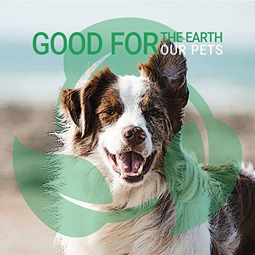 Green Groom Odor Eliminator Dog Shampoo, 1 Gallon - Crafted with Odortrol, All Natural Ingredients, Antioxidant Rich, Eliminates Smelly Pet Odors, Powerful Deodorizing Formula, Professional Grade
