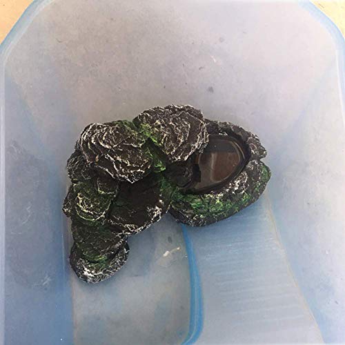PINVNBY Turtles Dock for Aquarium Reptile Basking Platform for Turtles, Frogs, Newts (1 Pack)