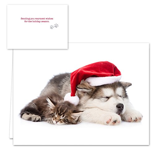 Christmas Cats Holiday Card Assortment Pack / 25 Seasonal Kitten Greeting Cards And Envelopes / 5 Sleeping Santa Animal Designs And Christmas Messages