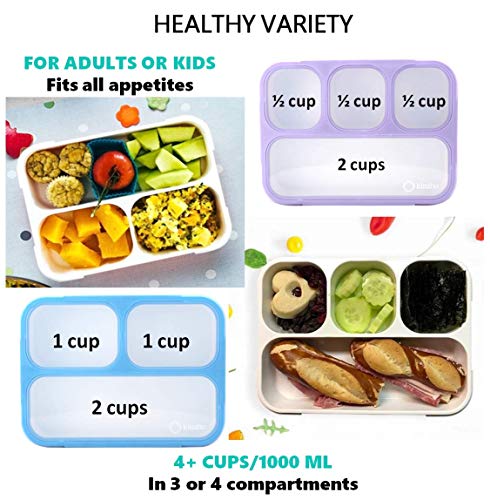 Bento Lunch Box Kids & Adult: Leakproof Lunch Containers for Boys & Girls with 3 Compartments - School, Daycare, Meal Planning Portion Control Container, BPA-Free Boxes, Utensils | Blue Purple 2 pack