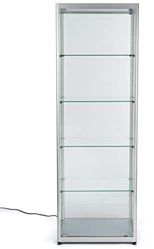 Displays2go Locking Glass Display Case, Illuminated – Silver (DCKDMT24S)