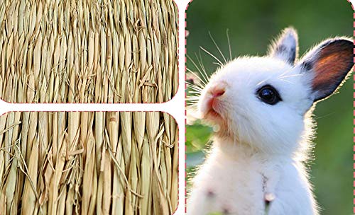 Yesland 12 Pack Woven Bed Mat for Rabbits - Grass Mat & Bunny Bedding Nest - Rabbit Bed and Natural Chew Toy Bed for Guinea Pig Chinchilla Squirrel Hamster Cat Dog and Small Animal
